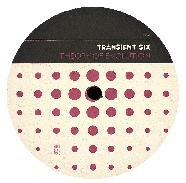 Various - Transient Six (Theory Of Evolution) | Transient Records ...